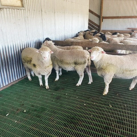 Home - FRP Limited - NZ'S Go-To Supplier